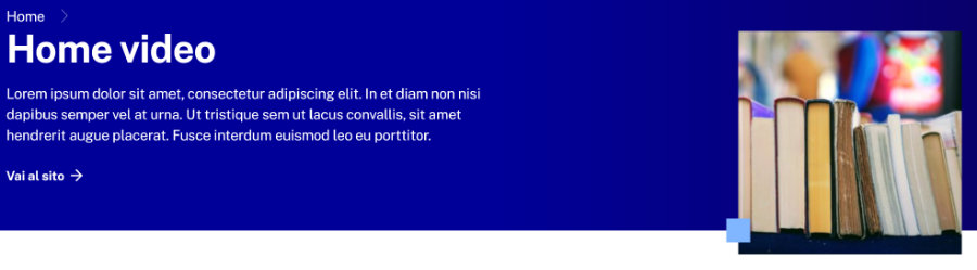 ADE Programma - Rai Com