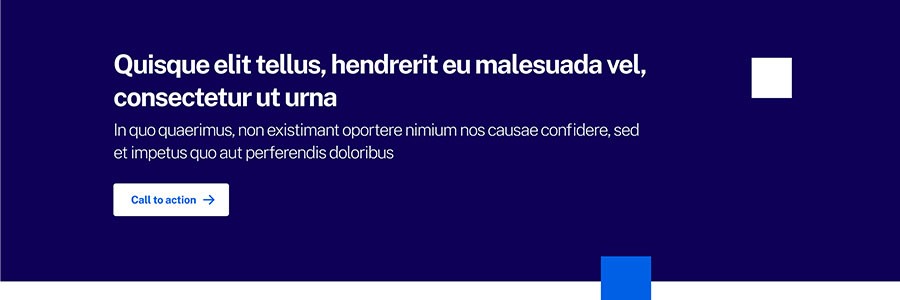 ADE Programma - Rai Com