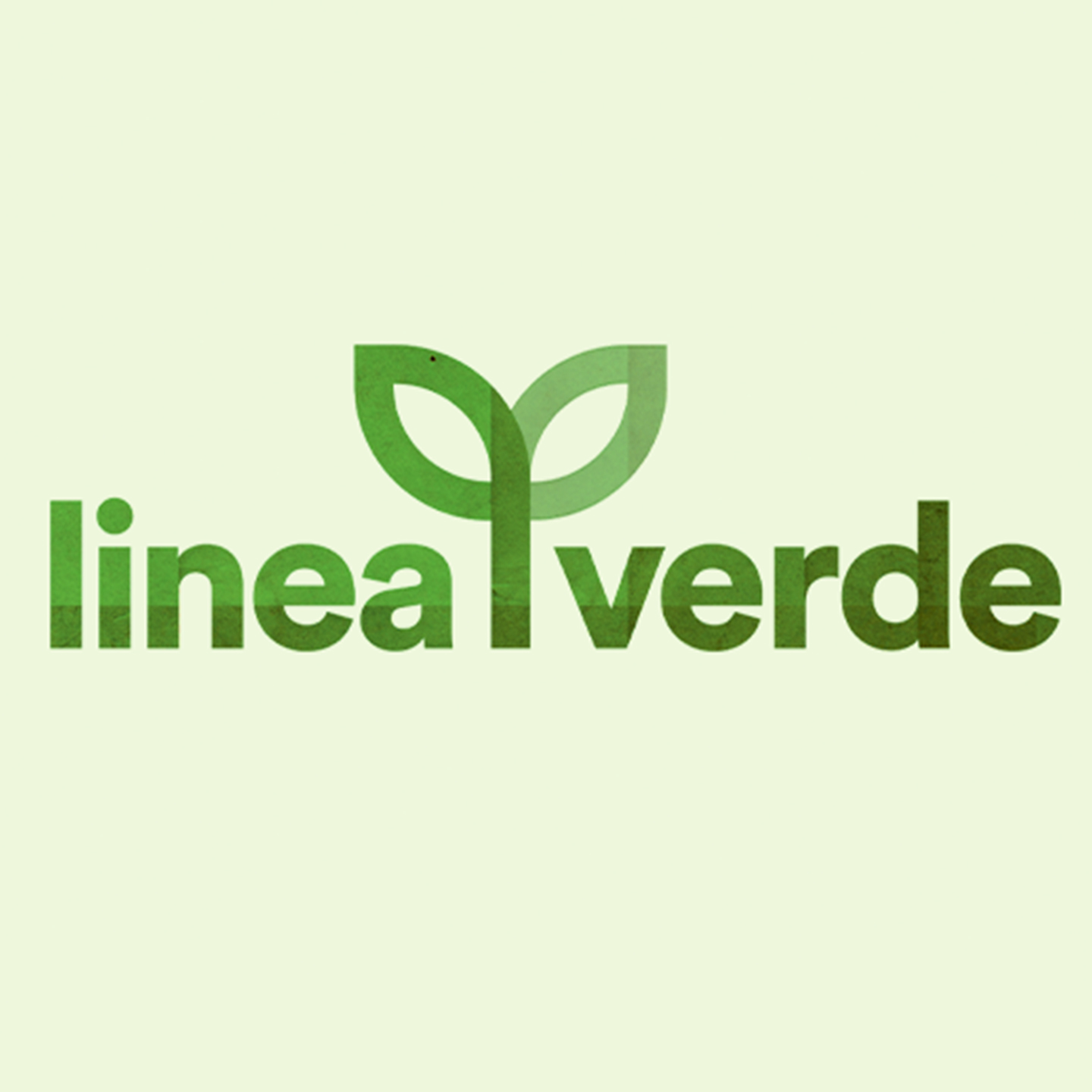 Rai 1, Linea Verde – The Merano Christmas Market - Rai Com